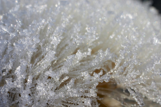 Iced-Up Images – Browse 166 Stock Photos, Vectors, and Video | Adobe Stock
