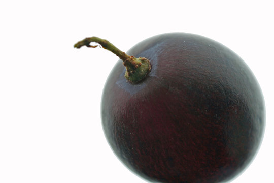 "Grain De Raisin" Images – Browse 348 Stock Photos, Vectors, and Video ...