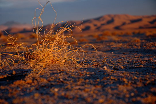 รูปภาพMatojo – เลือกดูภาพถ่ายสต็อก เวกเตอร์ และวิดีโอ163 | Adobe Stock
