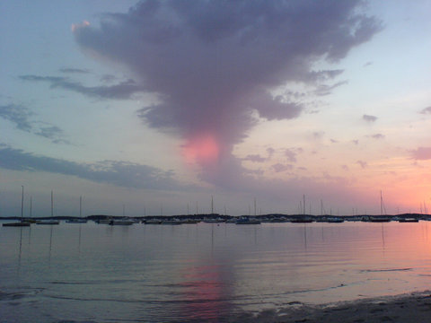 Flamboyer bilder – Bläddra bland 22 stockfoton, vektorer och videor ...