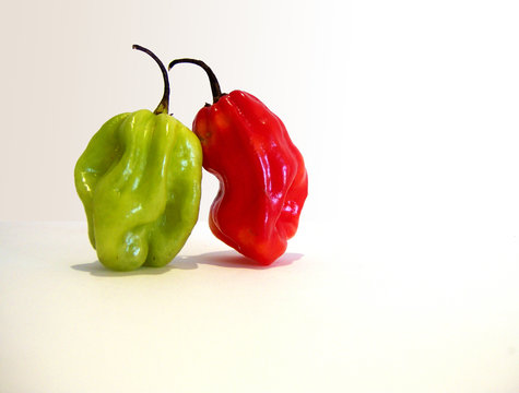 รูปภาพPiment – เลือกดูภาพถ่ายสต็อก เวกเตอร์ และวิดีโอ9,098 | Adobe Stock