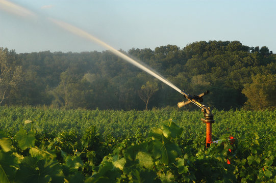 Arrosage Images – Browse 3,260 Stock Photos, Vectors, and Video | Adobe ...