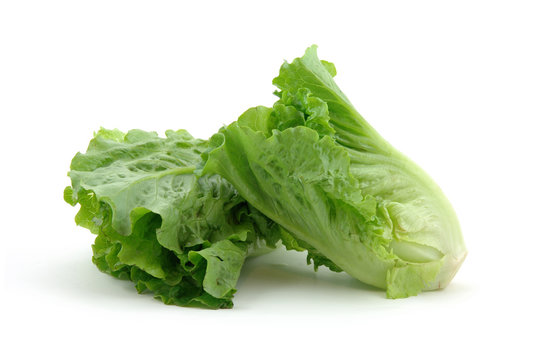 "Chinese Lettuce" Images – Browse 1,273 Stock Photos, Vectors, and ...