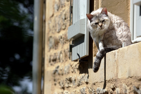 Guetter Images – Parcourir 521 le catalogue de photos, vecteurs et ...