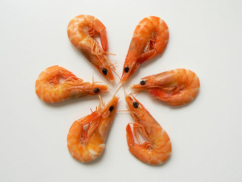 รูปภาพCrevette – เลือกดูภาพถ่ายสต็อก เวกเตอร์ และวิดีโอ1,870,329 ...