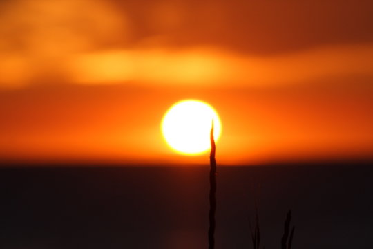 Crepuscule Images – Browse 4,165,080 Stock Photos, Vectors, and Video ...