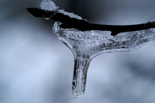 Spitzig bilder – Bläddra bland 460 stockfoton, vektorer och videor ...