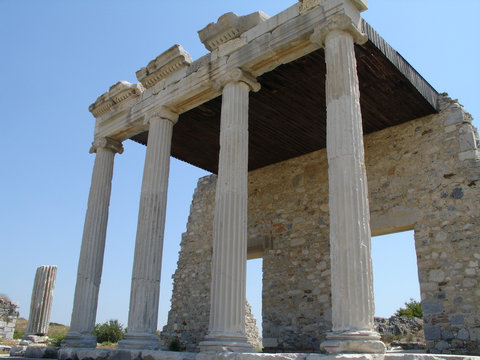 Afina Images – Browse 33 Stock Photos, Vectors, and Video | Adobe Stock