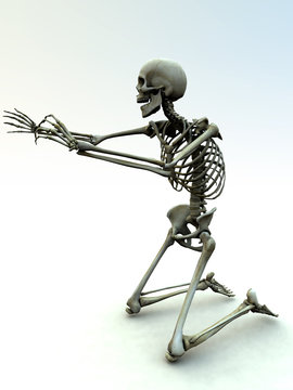 รูปภาพSkelton – เลือกดูภาพถ่ายสต็อก เวกเตอร์ และวิดีโอ722 | Adobe Stock