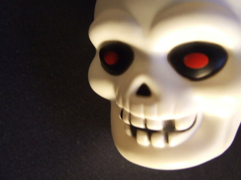 Skully Images – Browse 79 Stock Photos, Vectors, and Video | Adobe Stock