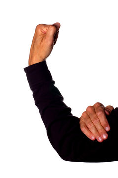 รูปภาพGet-Stuffed – เลือกดูภาพถ่ายสต็อก เวกเตอร์ และวิดีโอ5 | Adobe Stock