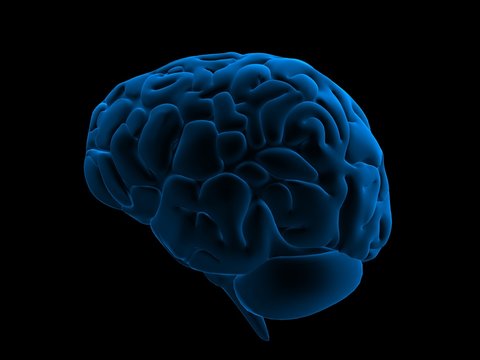 Gescheit Bilder – Durchsuchen 568 Archivfotos, Vektorgrafiken und ...