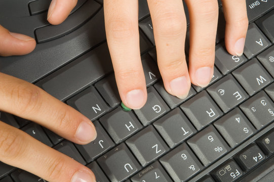 Tippen Images – Browse 13,787 Stock Photos, Vectors, and Video | Adobe ...