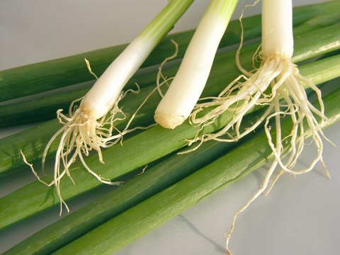 "Onion Leaves" Images – Browse 158 Stock Photos, Vectors, and Video ...