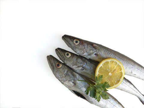 Merluchon Images – Browse 58 Stock Photos, Vectors, and Video | Adobe Stock