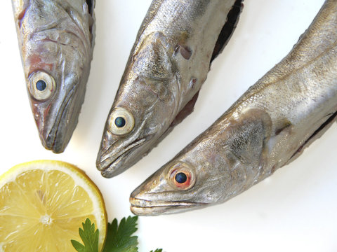 Merluchon Images – Browse 58 Stock Photos, Vectors, and Video | Adobe Stock