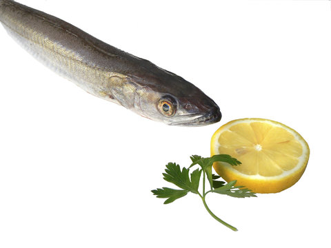 Merluchon Images – Browse 58 Stock Photos, Vectors, and Video | Adobe Stock