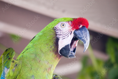 "prate" Stock photo and royalty-free images on Fotolia.com - Pic 1610026