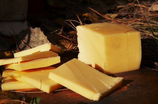 Chease Images – Browse 380 Stock Photos, Vectors, and Video | Adobe Stock