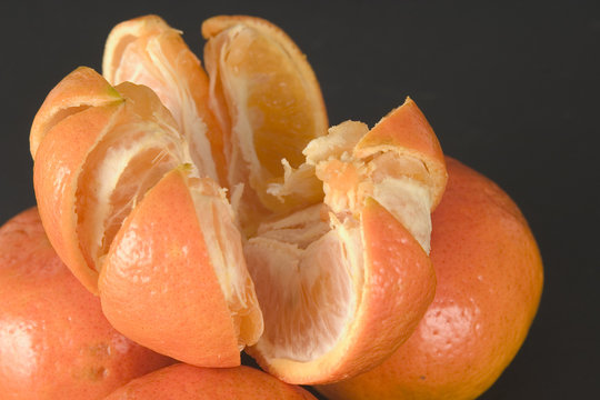 Juliet Kaye photos, images, assets | Adobe Stock