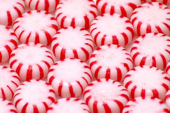 รูปภาพPeppermints – เลือกดูภาพถ่ายสต็อก เวกเตอร์ และวิดีโอ354,904 ...