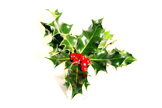 thinkthink photos, images, assets | Adobe Stock