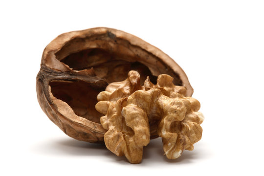 Nuss Images – Browse 51,719 Stock Photos, Vectors, and Video | Adobe Stock