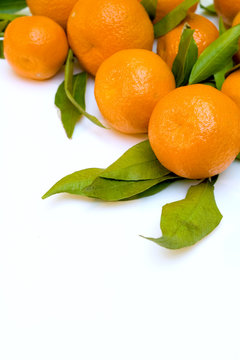 Panama-Orange Images – Browse 51 Stock Photos, Vectors, and Video ...