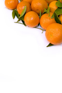 Panama-Orange Images – Browse 51 Stock Photos, Vectors, and Video ...