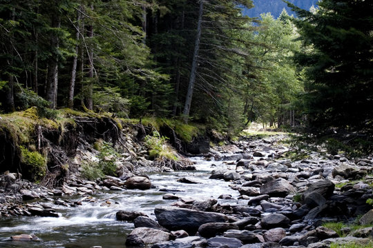 Torrent Images – Browse 142,032 Stock Photos, Vectors, and Video ...