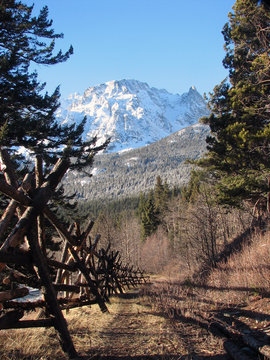 Niut Images – Browse 31 Stock Photos, Vectors, and Video | Adobe Stock