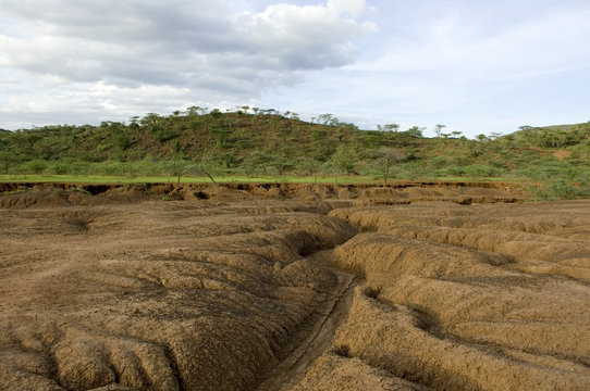 รูปภาพGadoue – เลือกดูภาพถ่ายสต็อก เวกเตอร์ และวิดีโอ116 | Adobe Stock
