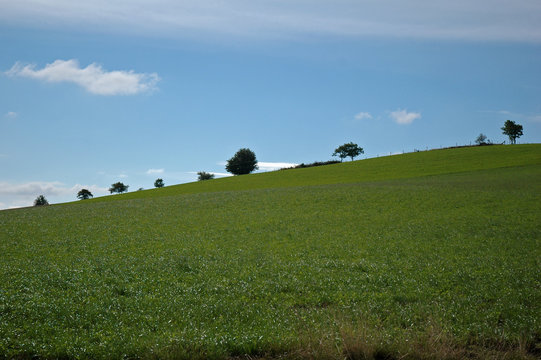 รูปภาพMemorium – เลือกดูภาพถ่ายสต็อก เวกเตอร์ และวิดีโอ78 | Adobe Stock