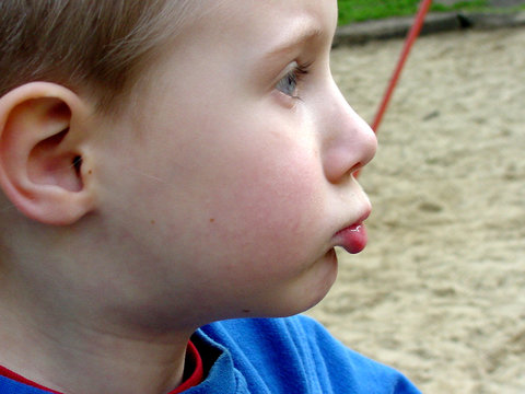 「Flappe」の写真素材 | 14件の無料イラスト画像 | Adobe Stock