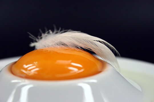 Imágenes de Eidotter: descubre bancos de fotos, ilustraciones, vectores ...