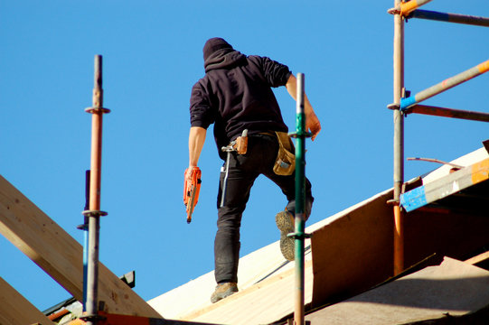 Zimmermann bilder – Bläddra bland 6,739 stockfoton, vektorer och videor ...