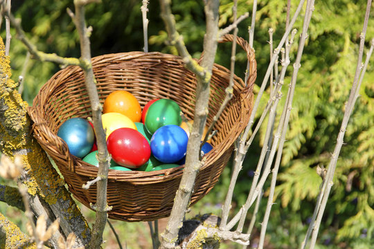 รูปภาพOsterstrauch – เลือกดูภาพถ่ายสต็อก เวกเตอร์ และวิดีโอ802 | Adobe ...