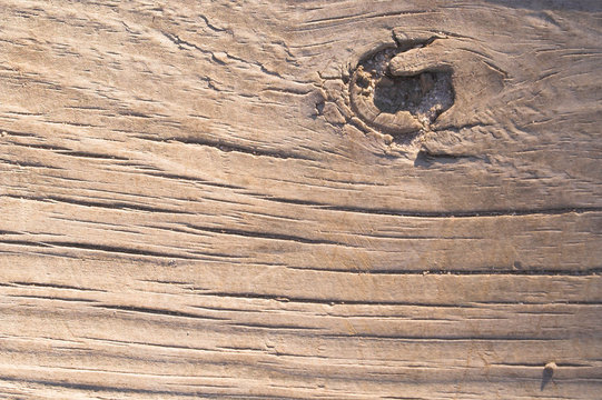 "Weathered Wood" Images – Browse 3,053 Stock Photos, Vectors, and Video ...