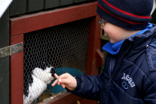 Kanickel Bilder – Durchsuchen 187 Archivfotos, Vektorgrafiken und ...