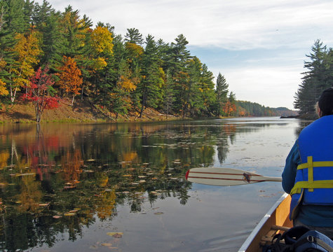 Freeland Images – Browse 191 Stock Photos, Vectors, and Video | Adobe Stock