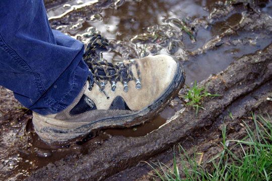 Boue Images – Browse 4,157 Stock Photos, Vectors, and Video | Adobe Stock