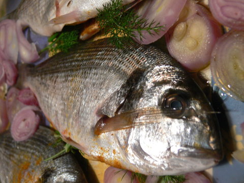 Pageot Images – Browse 87 Stock Photos, Vectors, and Video | Adobe Stock