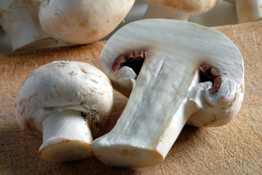 Champignons Billeder – Gennemse 174,925 stockfotos, vektorer og videoer ...