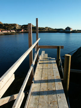 Anfibia Images – Browse 11 Stock Photos, Vectors, and Video | Adobe Stock