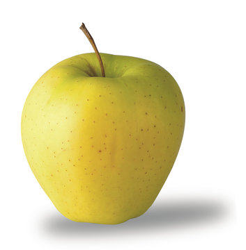 รูปภาพ"Mela – เลือกดูภาพถ่ายสต็อก เวกเตอร์ และวิดีโอ16,936 | Adobe Stock