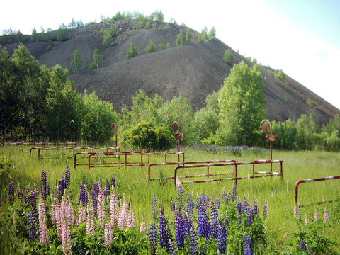 「Mullock」の写真素材 | 375件の無料イラスト画像 | Adobe Stock