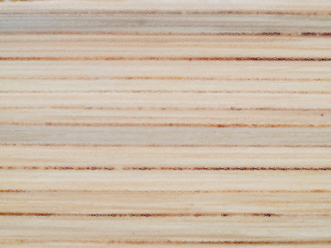 รูปภาพBambo – เลือกดูภาพถ่ายสต็อก เวกเตอร์ และวิดีโอ1,248 | Adobe Stock