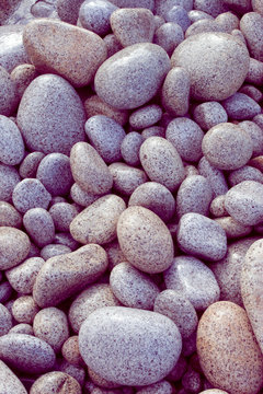 Imágenes de Galet: descubre bancos de fotos, ilustraciones, vectores y ...