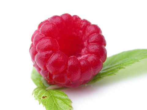 Framboise Images – Browse 63,714 Stock Photos, Vectors, and Video ...