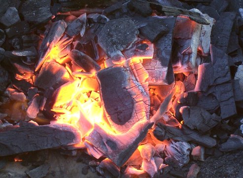 Cadaverin Bilder – Durchsuchen 92,930 Archivfotos, Vektorgrafiken und ...